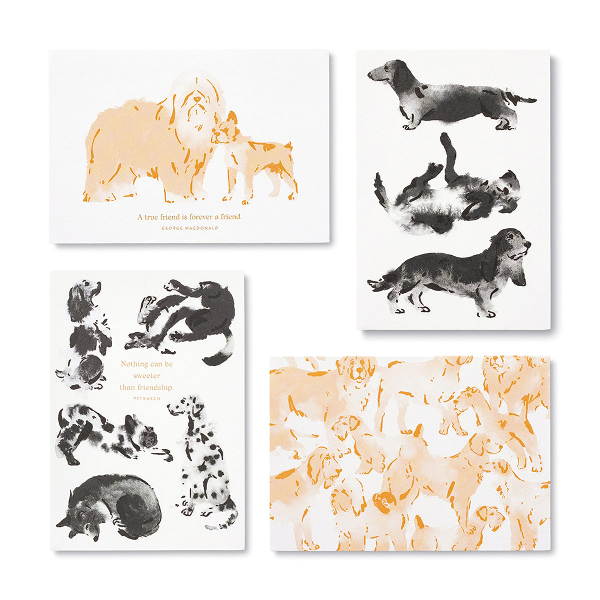 DOG-THEMED CARDS 12 Note Cards for Appreciation & Friendship – Under ...